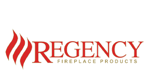 Electric Fireplaces & Inserts | Bellevue Fireplace Shop